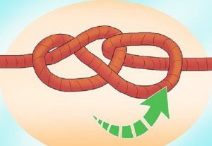 How to Braid a Single Rope? Easy and Quick Steps - Yifarope - Your ...