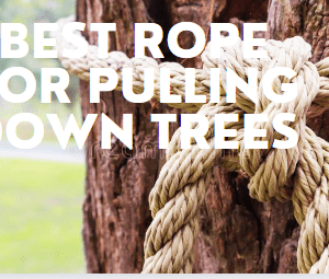 Best rope for pulling down trees - Yifarope - Your Ultimate Place to ...