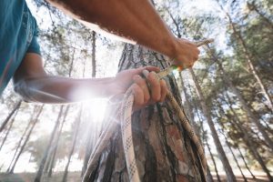 Best Tree Climbing Rope: Your Ultimate Guide to Safe Climbs - Yifarope ...