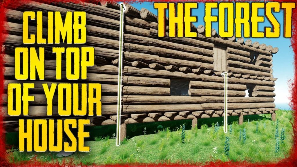 How to Use Climbing Rope in the Forest: Scale Safely! - Yifarope - Your ...